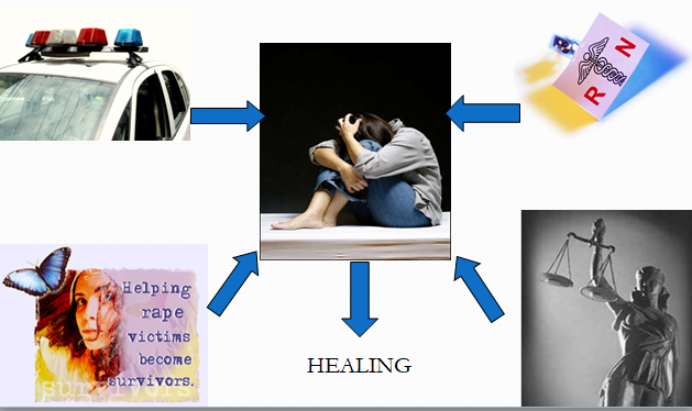 SANE Training – SANE Solutions & Consulting